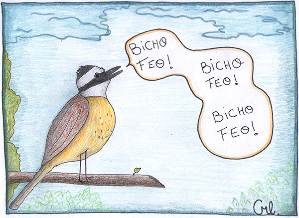 Universo Arte -Historietas Tipitos